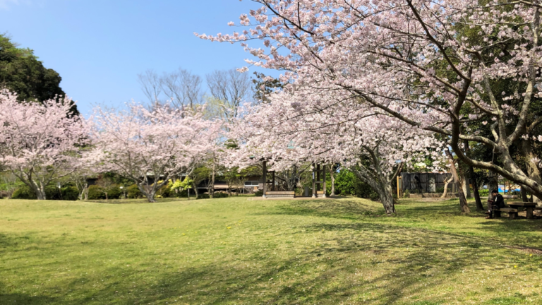 館山野鳥の森 | 館山市神戸地区