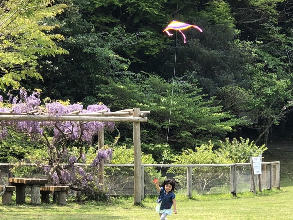 館山野鳥の森 | 館山市神戸地区